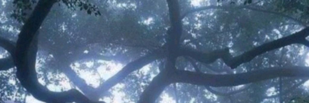 Динь в зазеркалье