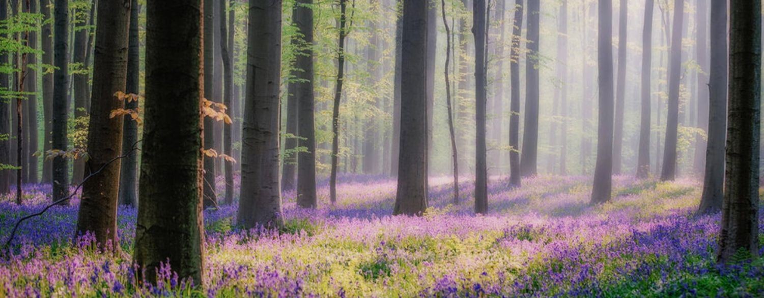 🗻🗻.-/Г⌀рная вершина кв\-.🗻🗻