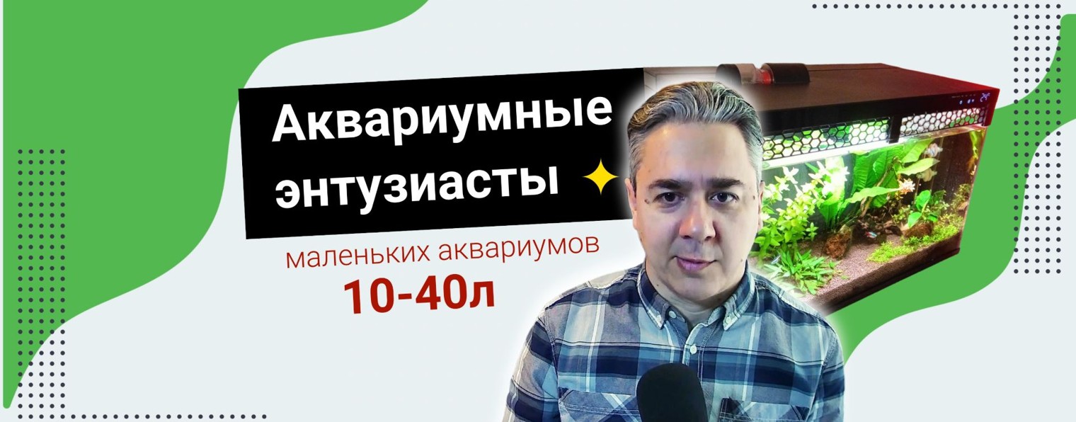 Аквариумные энтузиасты