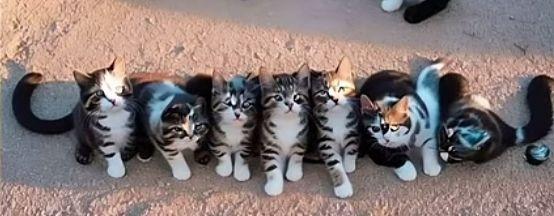 𝓛𝓮𝓻𝓲𝓴𝓼_ʟᴇɢᴏ✫