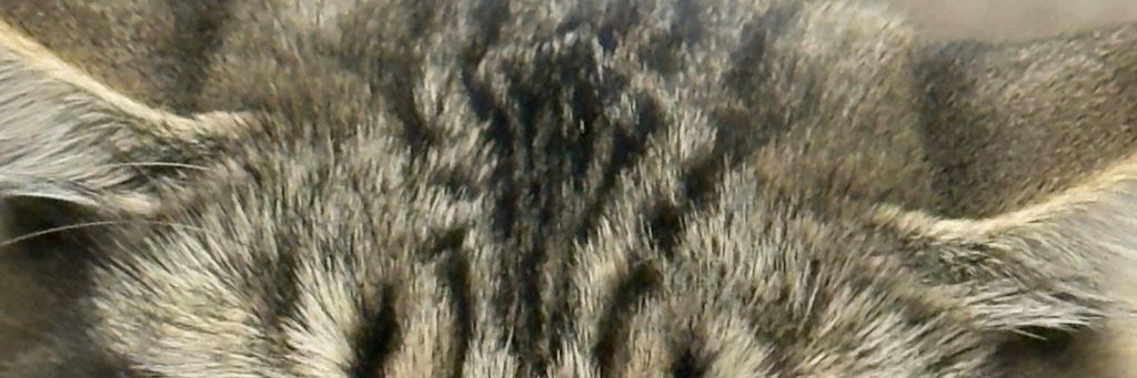 Ваша Екатерина