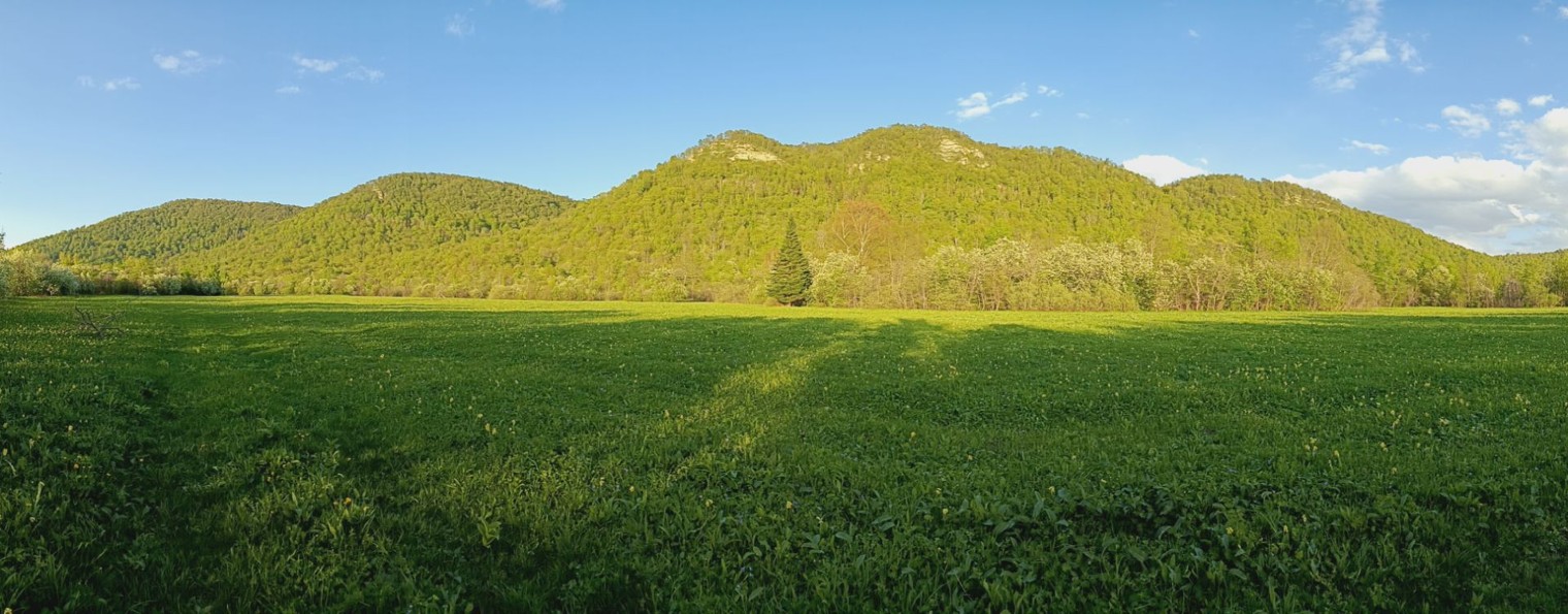 Котёнок с рюкзачком