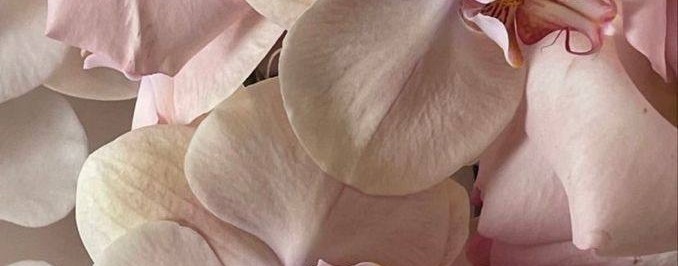 Психолог Юлия Гашева