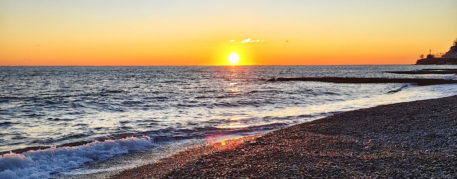 НАШИ ЮЖНЫЕ БУДНИ