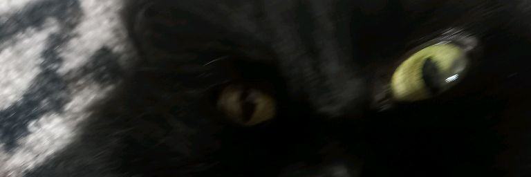 Лагерь🍉🌿