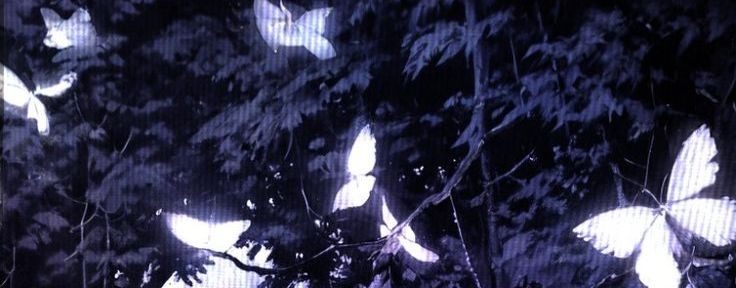 🦋🎻Мифёр🦋📖