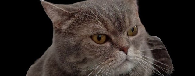 Артик программист