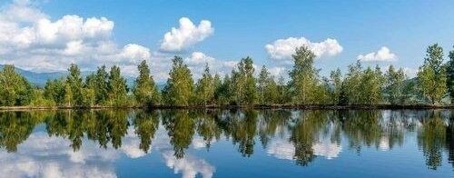 Марго_Жизнь без прикрас🌿