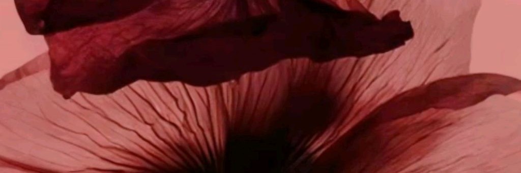 Счастливая Нинка🐻