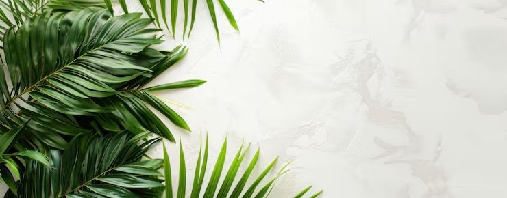 Учимся готовить с Егором