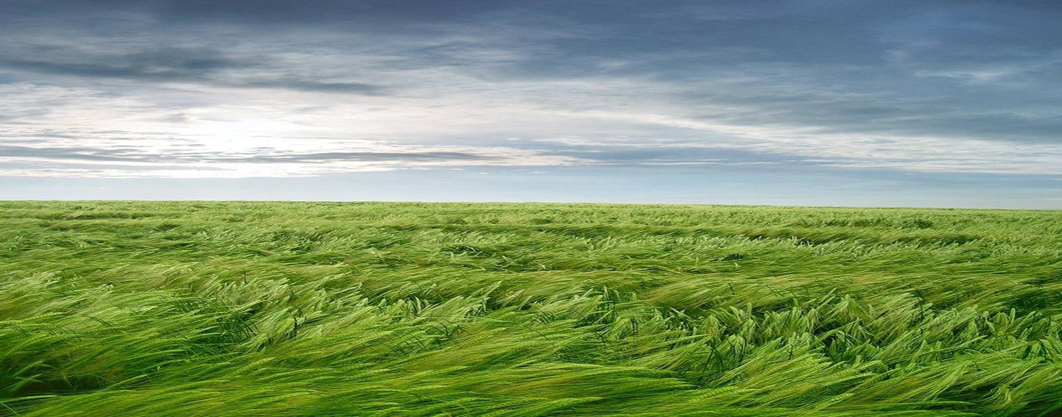 Руслан Серебров