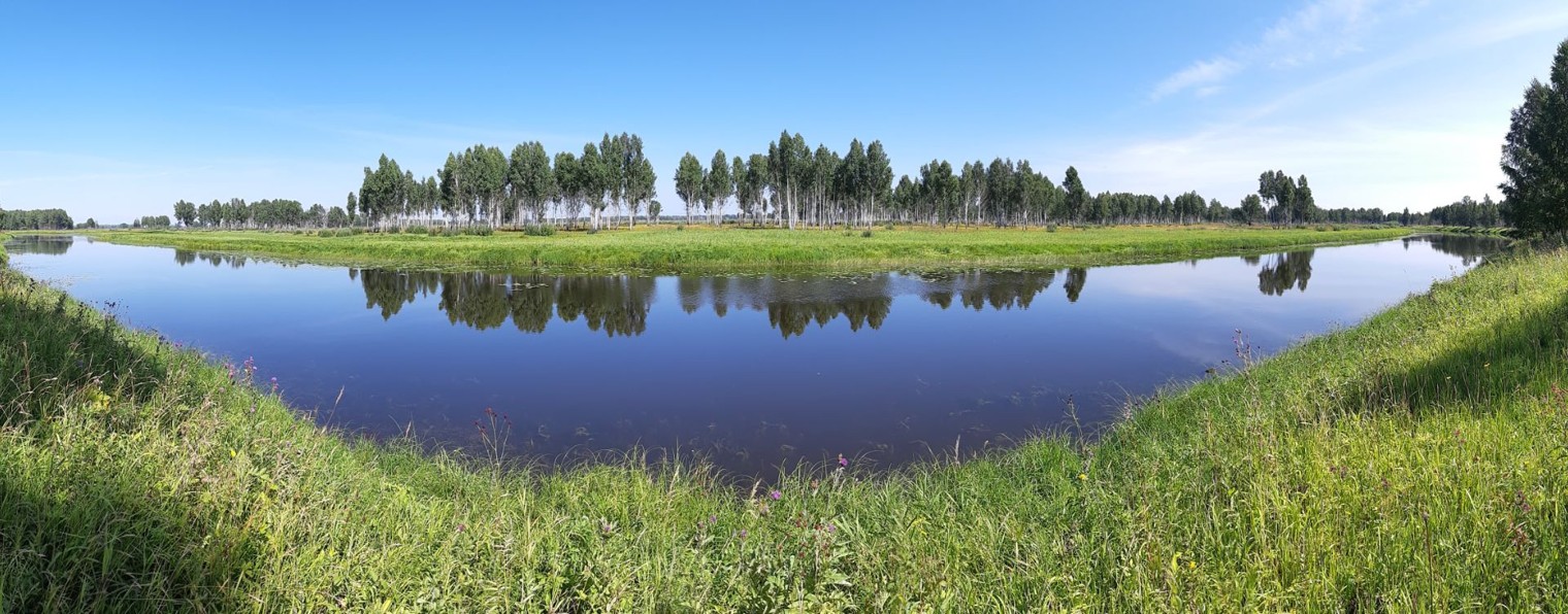 Меды родного Края