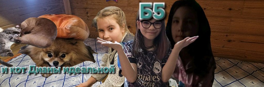 Б5 и животные