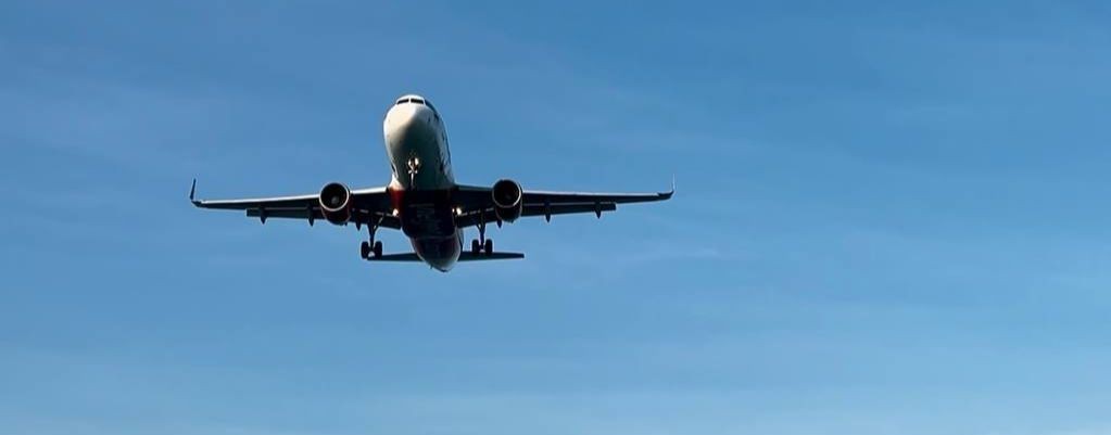 Вокруг света со Светой