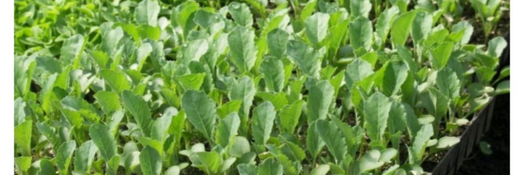 ☕️Пуля Туля🦅