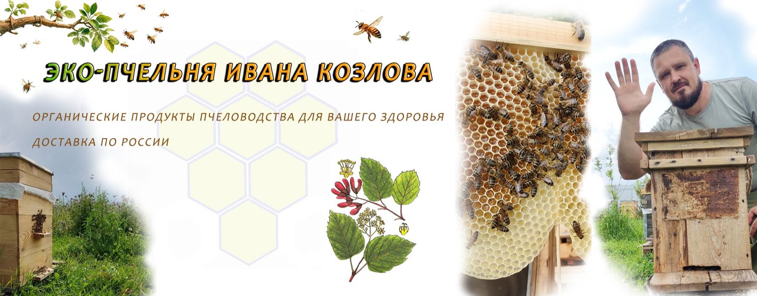 Эко пчельня Ивана Козлова