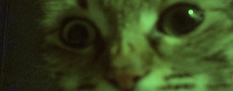 Sasha≈Fovoolin‹›110