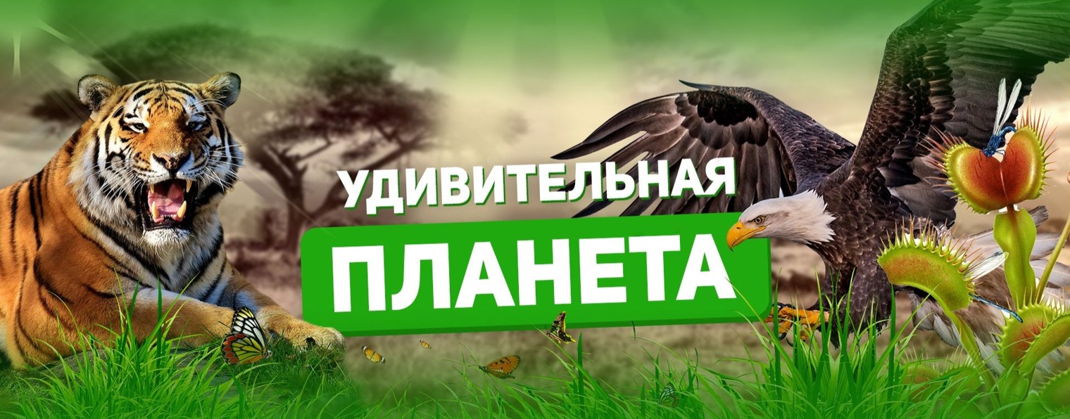 Удивительная планета