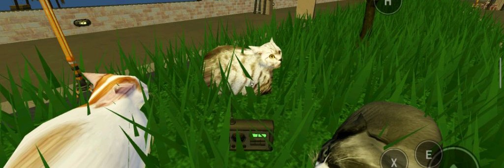 ~xvostik19~ Роблокс