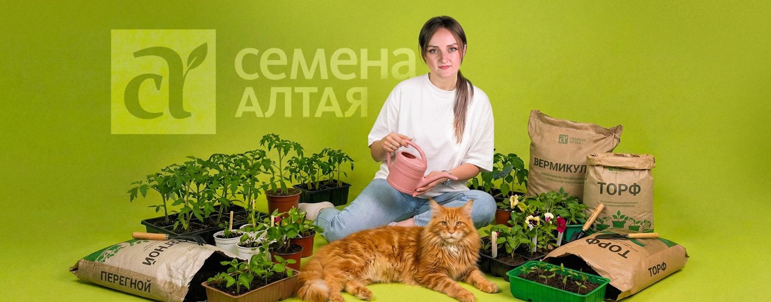 Семена Алтая