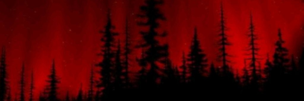 🌹𝑆𝑐𝑎𝑟𝑙𝑒𝑡 𝑍𝑒𝑒🌹