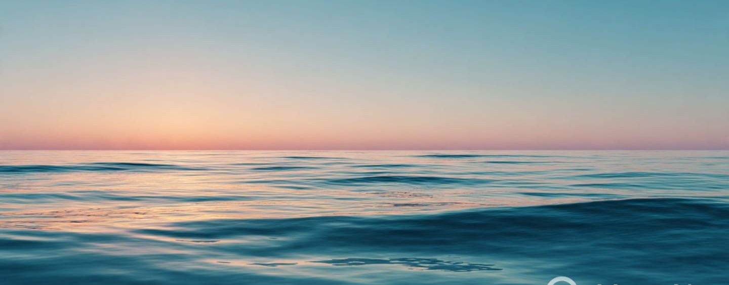 Школа Здравого Смысла.