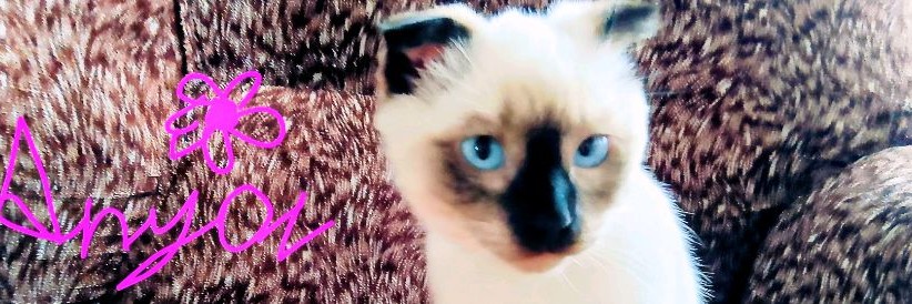 Девочка Аня