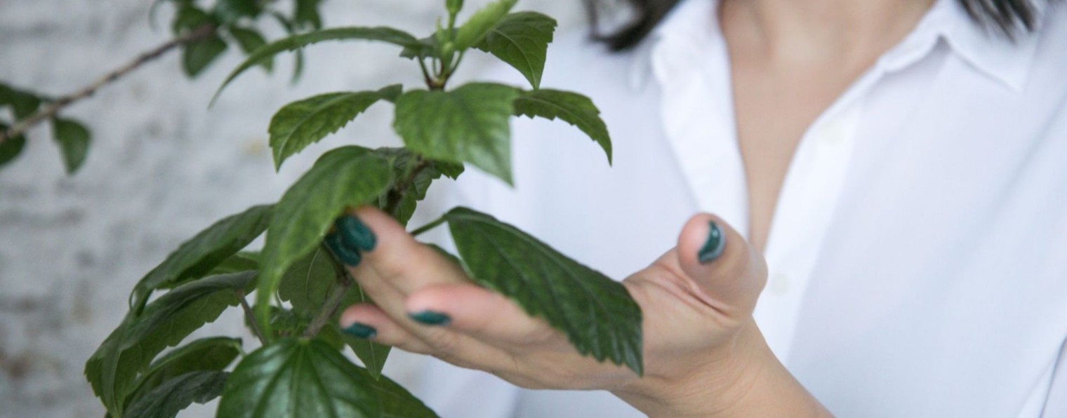 Психолог Анастасия Вялых