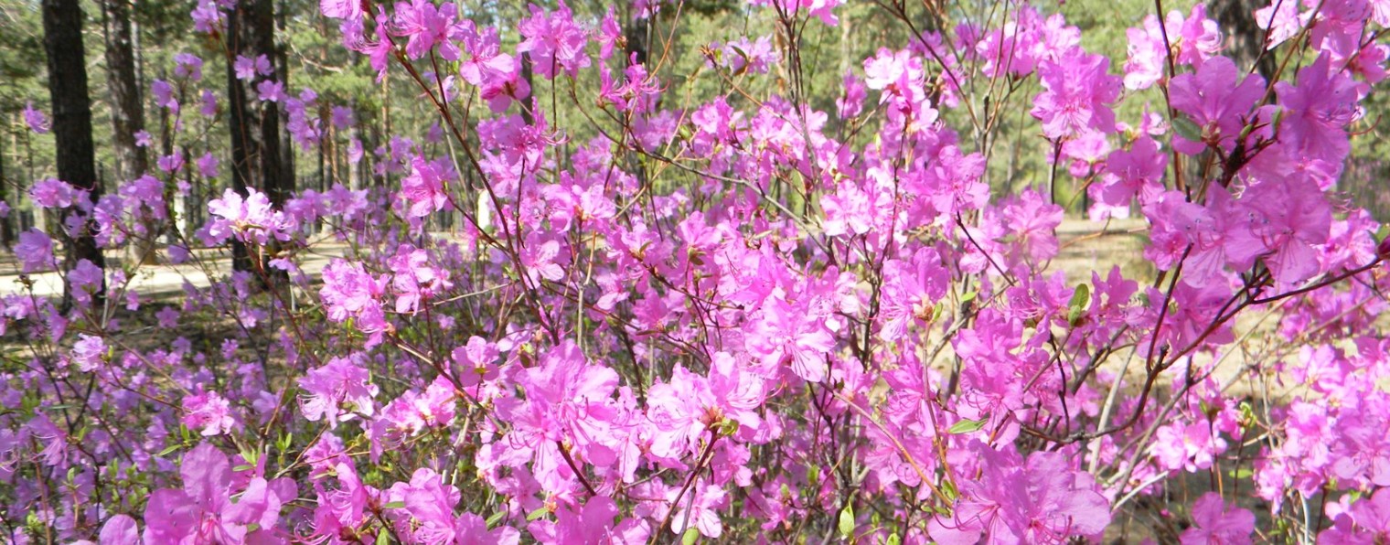 Мой калейдоскоп...