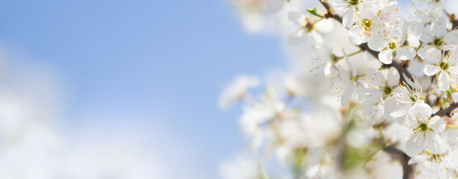 Журнал «Фома»