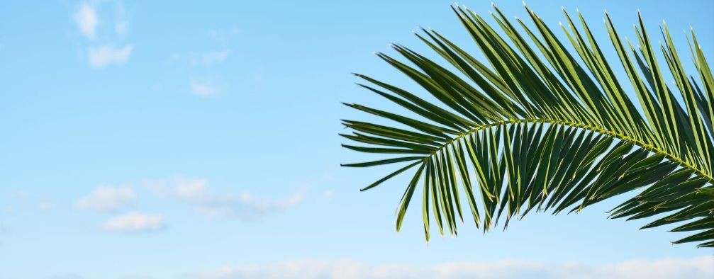 Ближний Восток