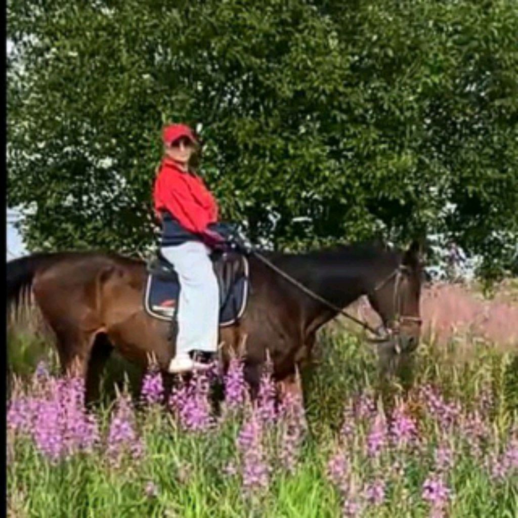 Не ругай себя,ты просто хотела быть счастливой.