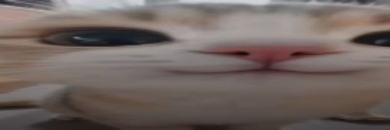 Анонимус 309М