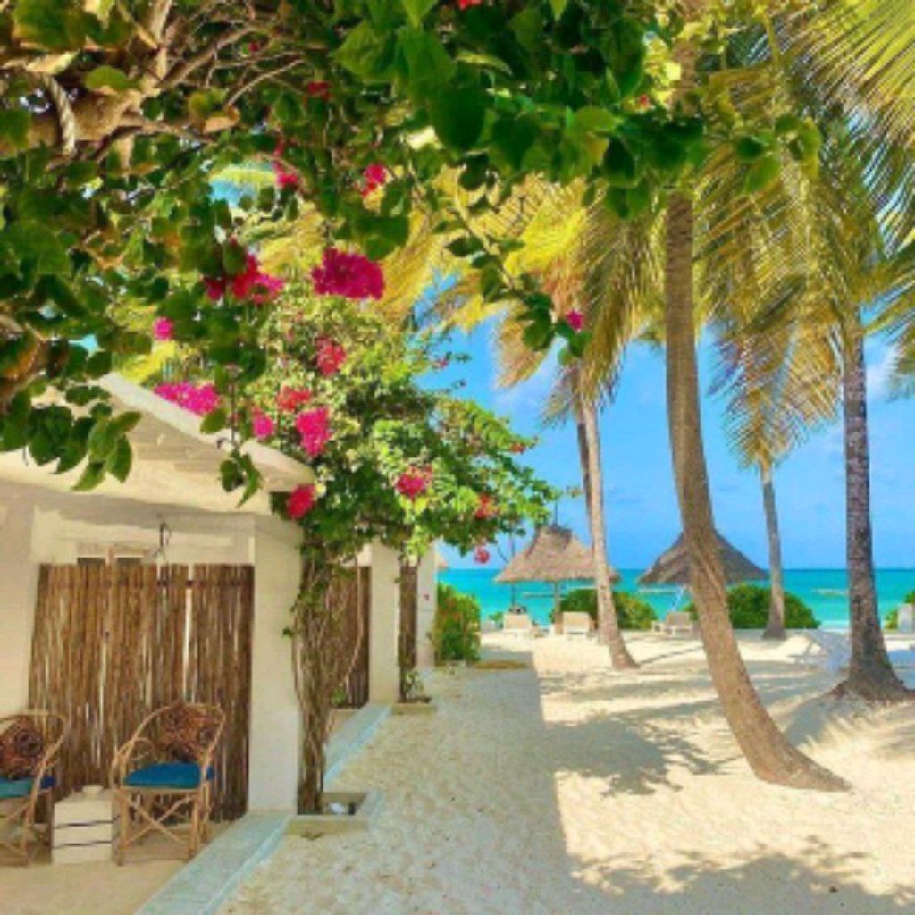 ₊˚🦎𝑆𝑡𝑜𝑛𝑒𝑠 𝑓𝑎𝑚𝑖𝑙𝑦 ℎ𝑜𝑢𝑠𝑒🌿𓇼 ⋆