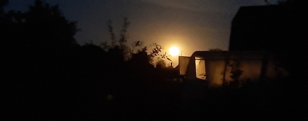 Димка(из Пскова)