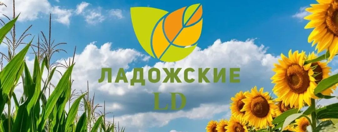 ЛАДОЖСКИЕ СЕМЕНА