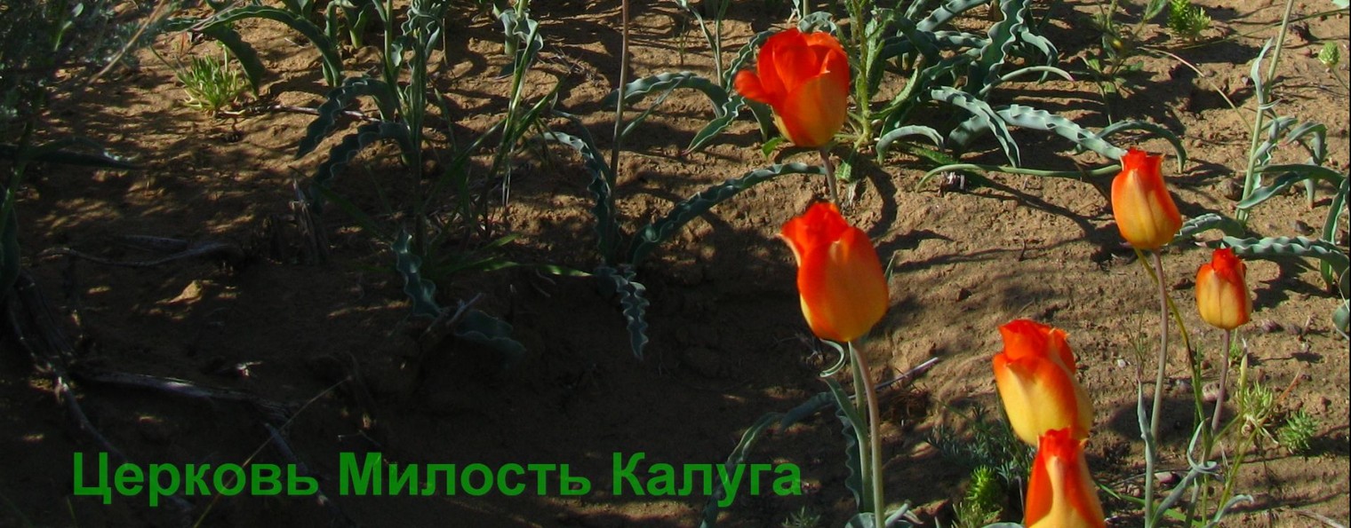 Церковь Милость Калуга
