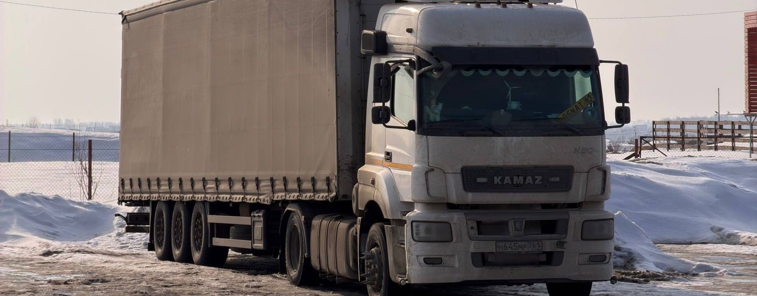 РУССКИЙ ТАТАРИН