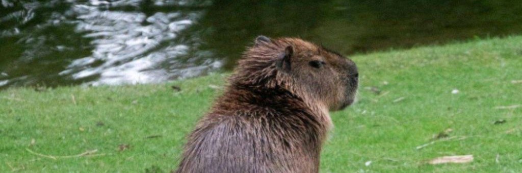 Creative Construction Lego