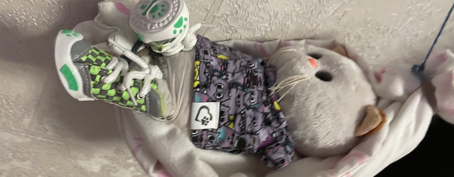 Super Barbus & Басик 🐠