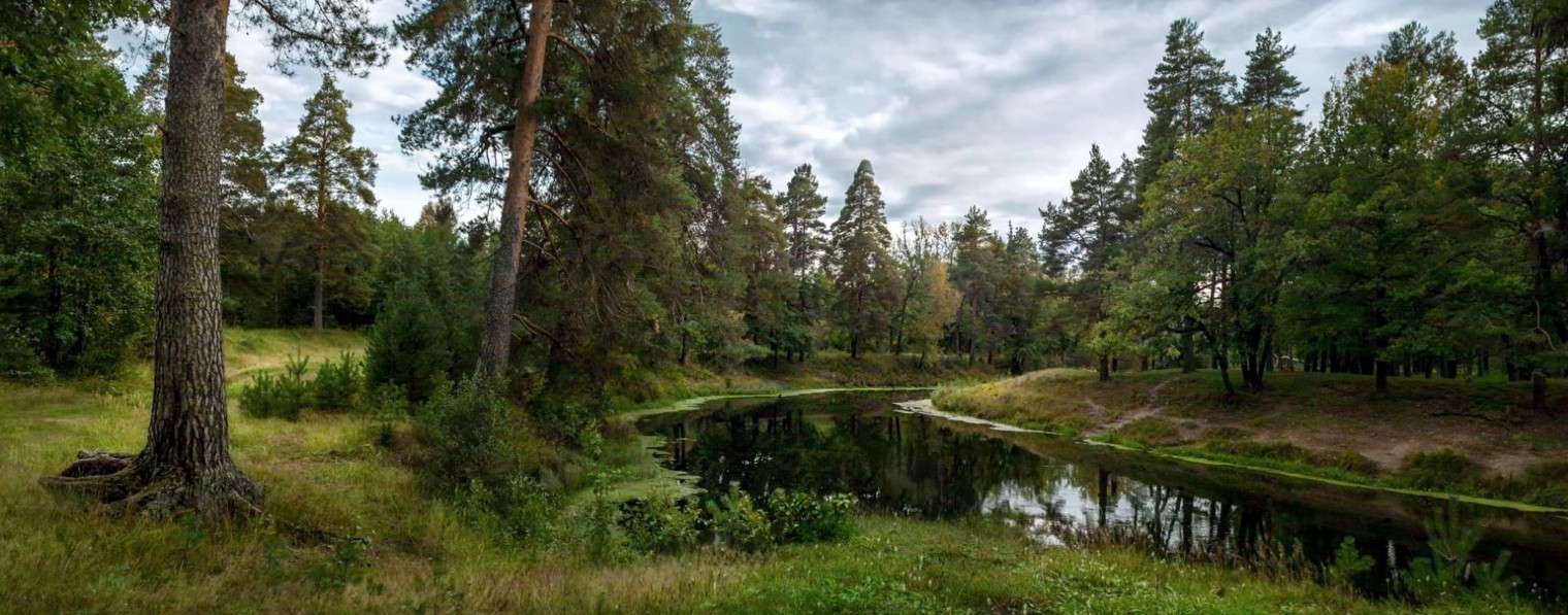 ИГРОМАНИЯ НА