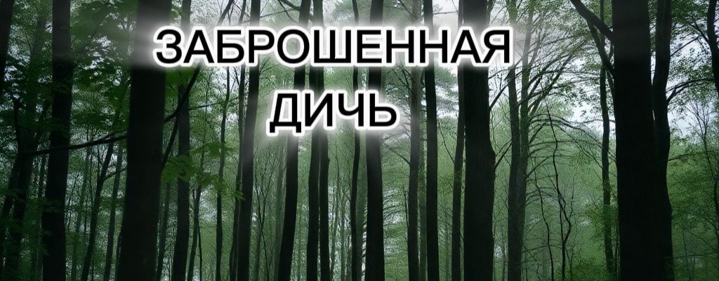 Заброшенная дичь