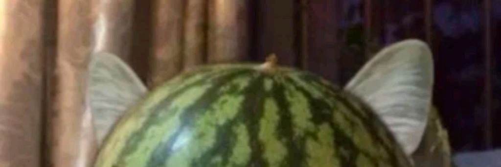 Настя :]]