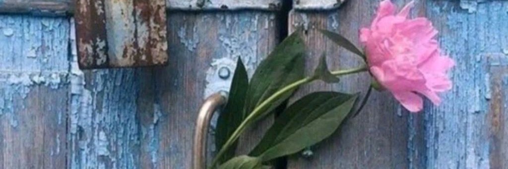 Жизни  Суета Л.Е.Ф.