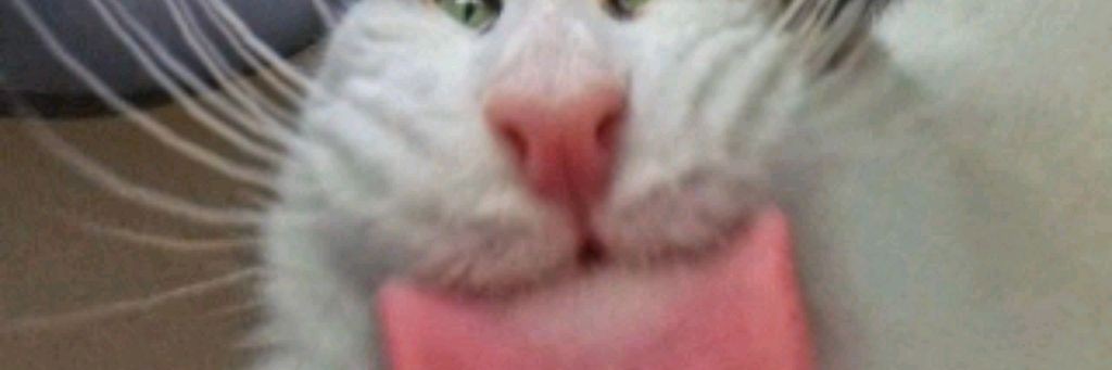 𓇼✎ᘜᙓᙁᗣᖆ ᗰᗣᙅᏦᗣ𓇼