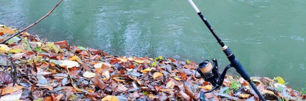 РЫБАК НА ДИЧКЕ