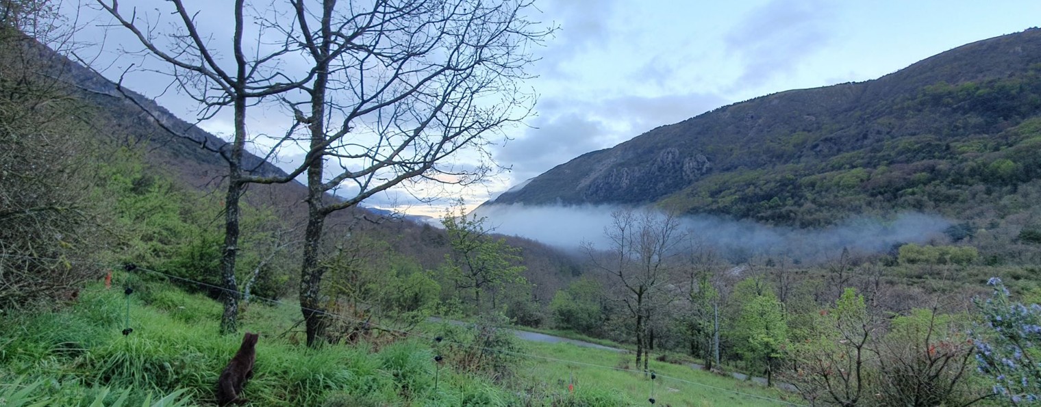 Живая Планета