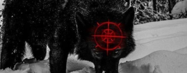 †🤍_𝔐𝔲𝔰𝔰 𝔡𝔢𝔪𝔬𝔫𝔲𝔥𝔰_🖤†