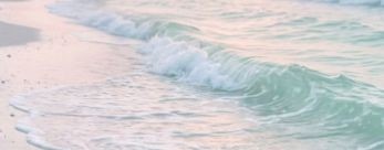 ';🍸^^｡ family Holi's^^ 🌴_♪