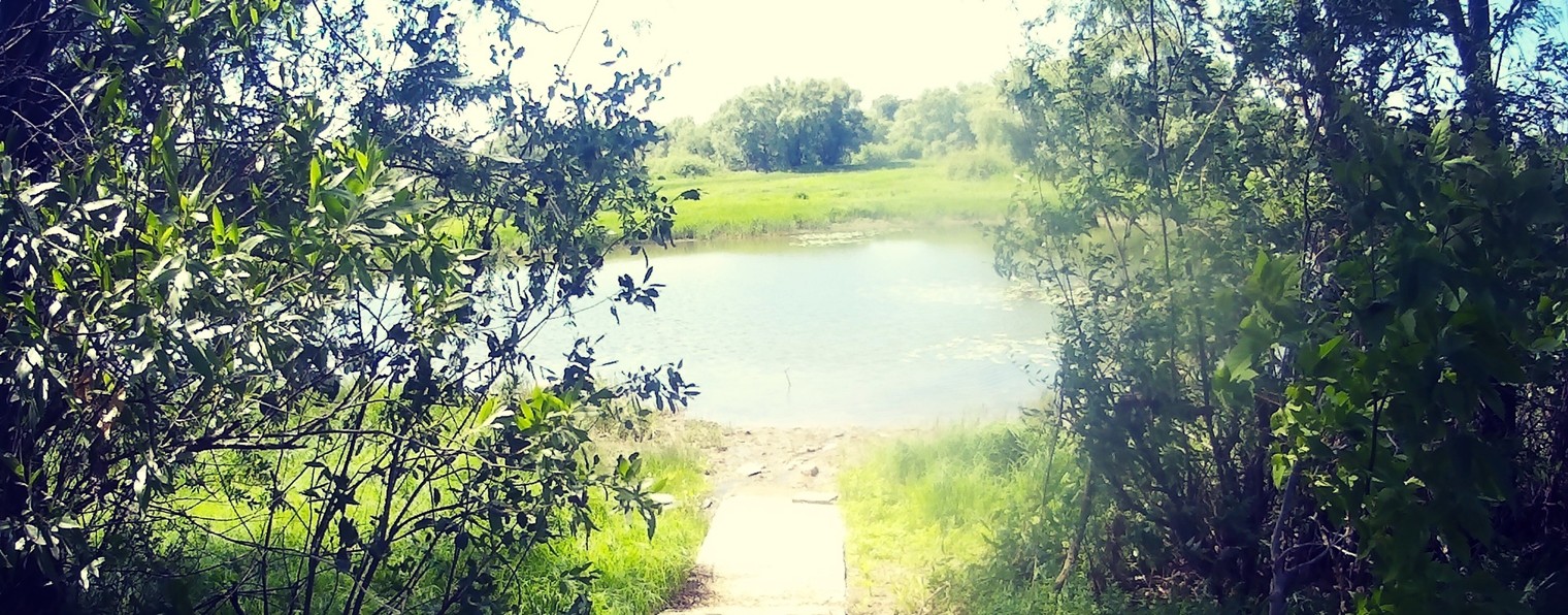 Самарский Краевед